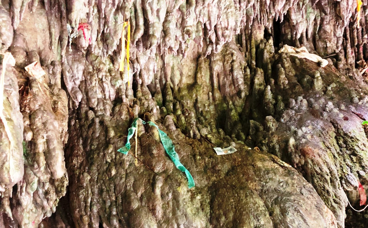 Why Dagana is very unique | Unexpected Hidden Sights of Dagana